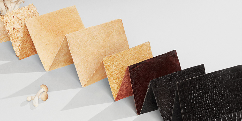 Reimagining the art of "Creation" with Mylo™ mushroom leather –Timeless ...