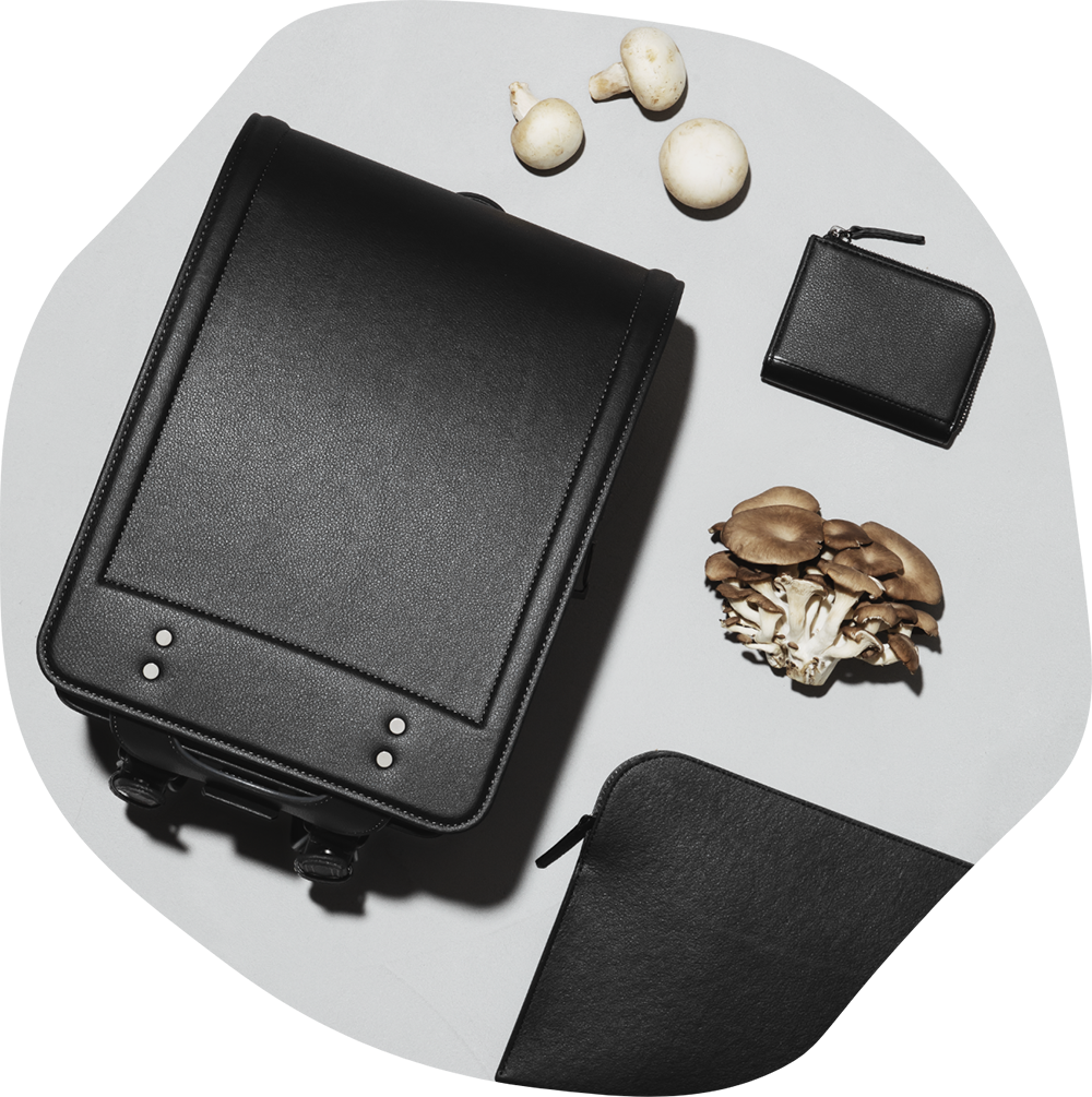 Reimagining the art of "Creation" with Mylo™ mushroom leather –Timeless ...