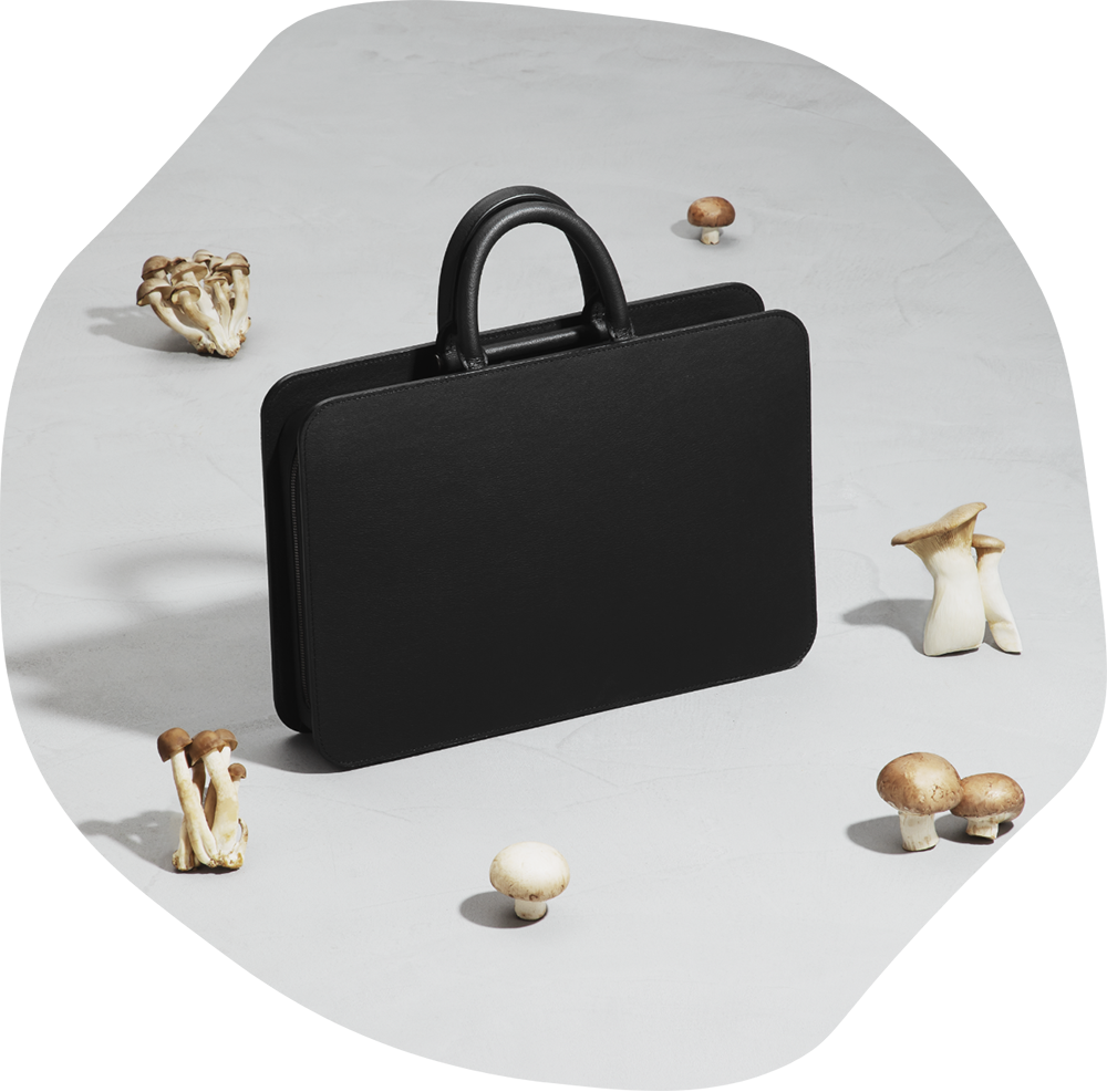 Reimagining the art of "Creation" with Mylo™ mushroom leather –Timeless ...
